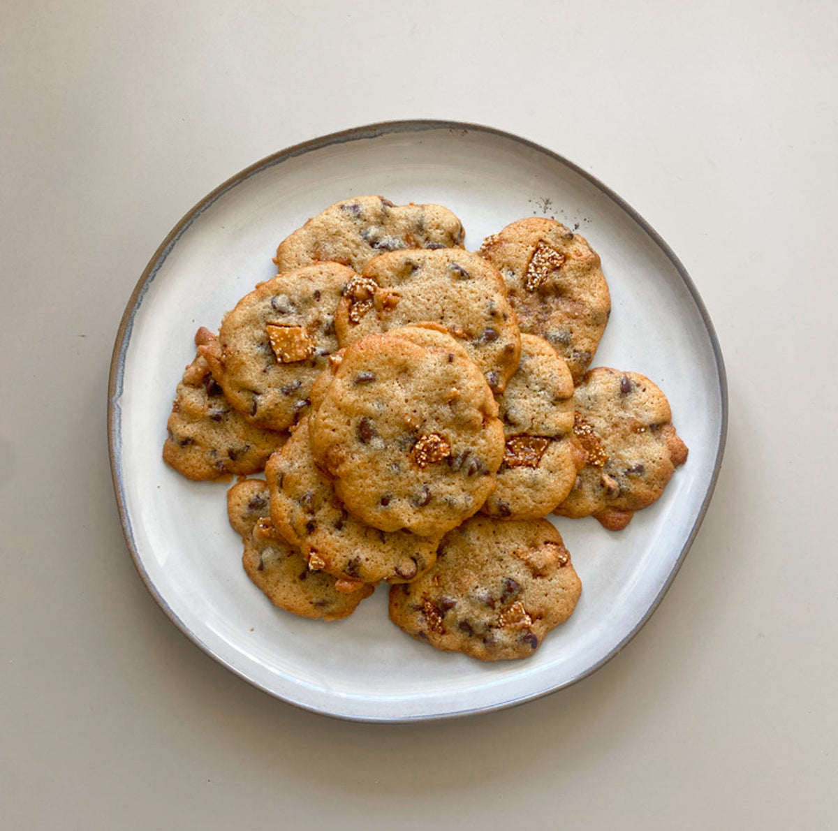 Mealworm Toffee + Chocolate Chip Cookies | Don Bugito