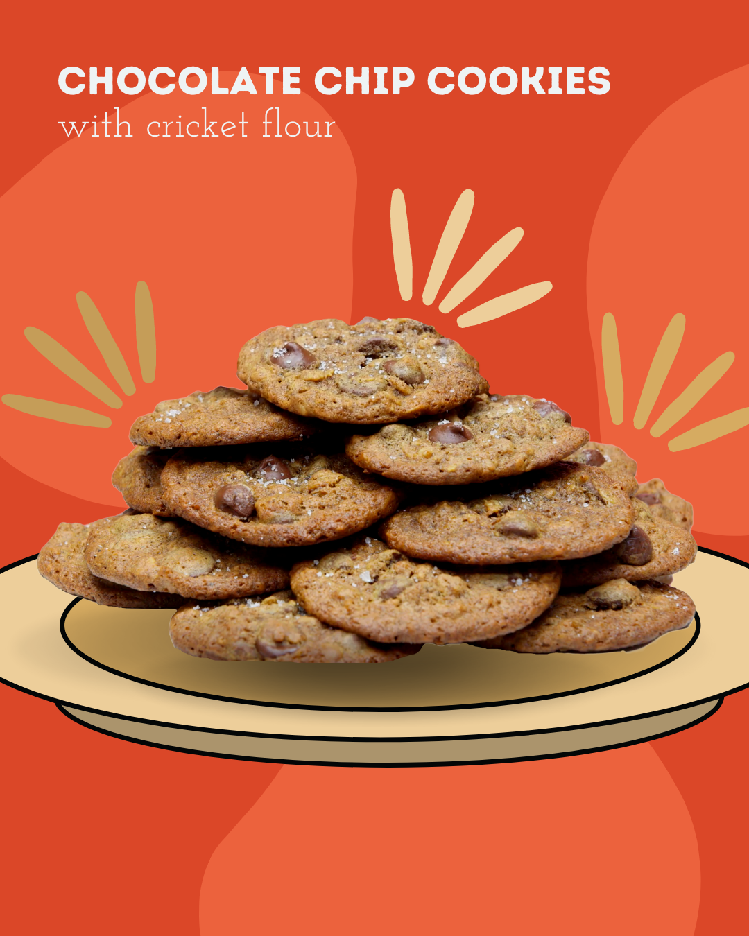 Chocolate Chip Cookies with Cricket Flower | Don Bugito