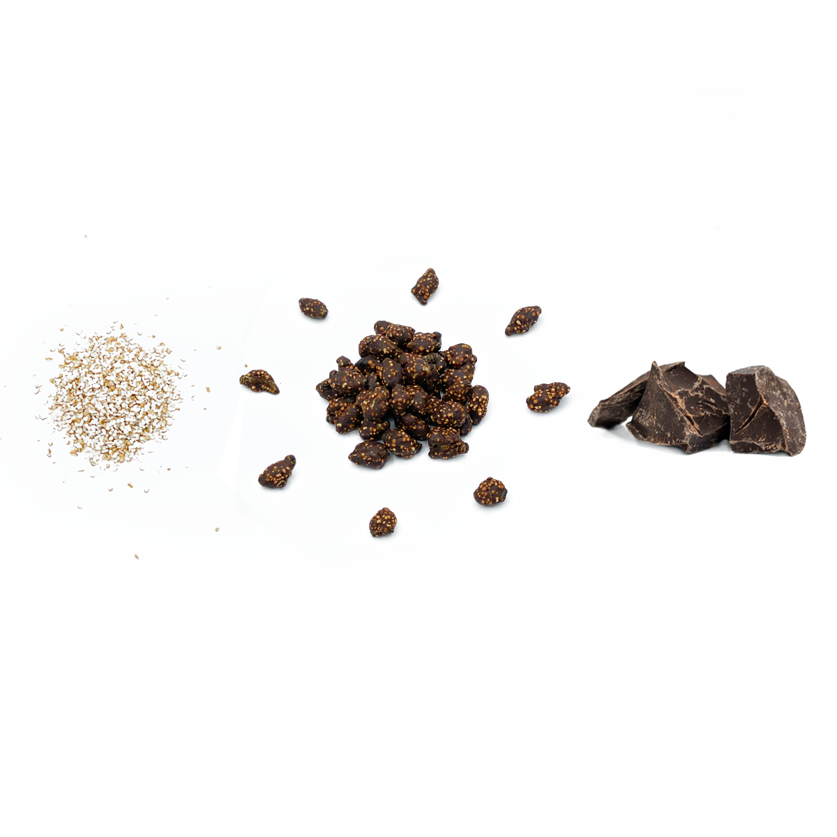 Chocolate Covered Crickets | Don Bugito