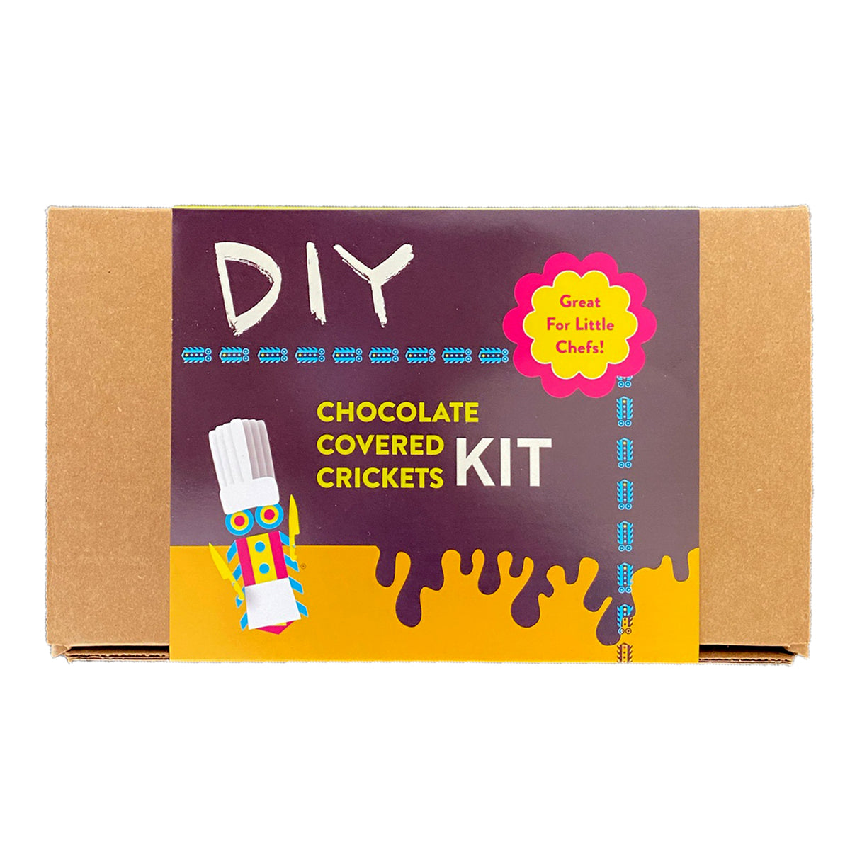 DIY Chocolate Covered Crickets KIT | Don Bugito